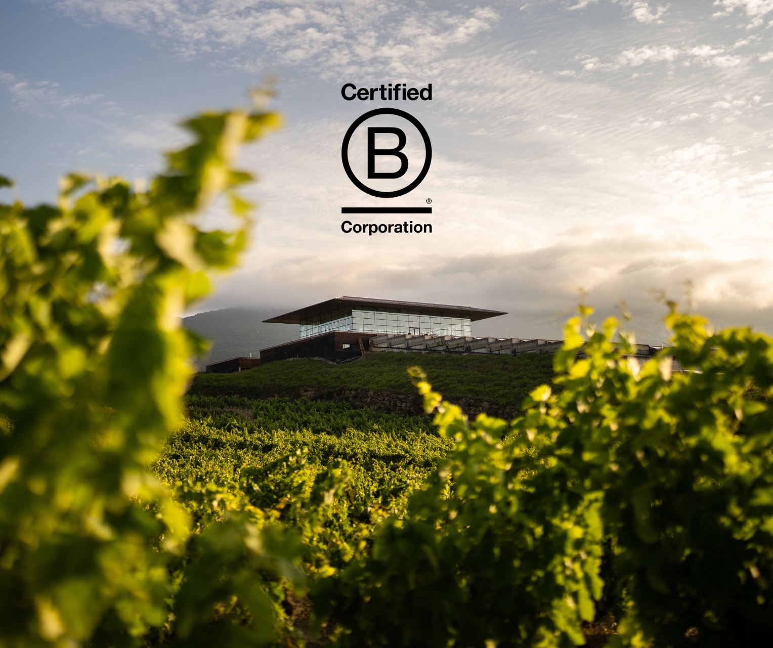 B Corp Bodegas Baigorri